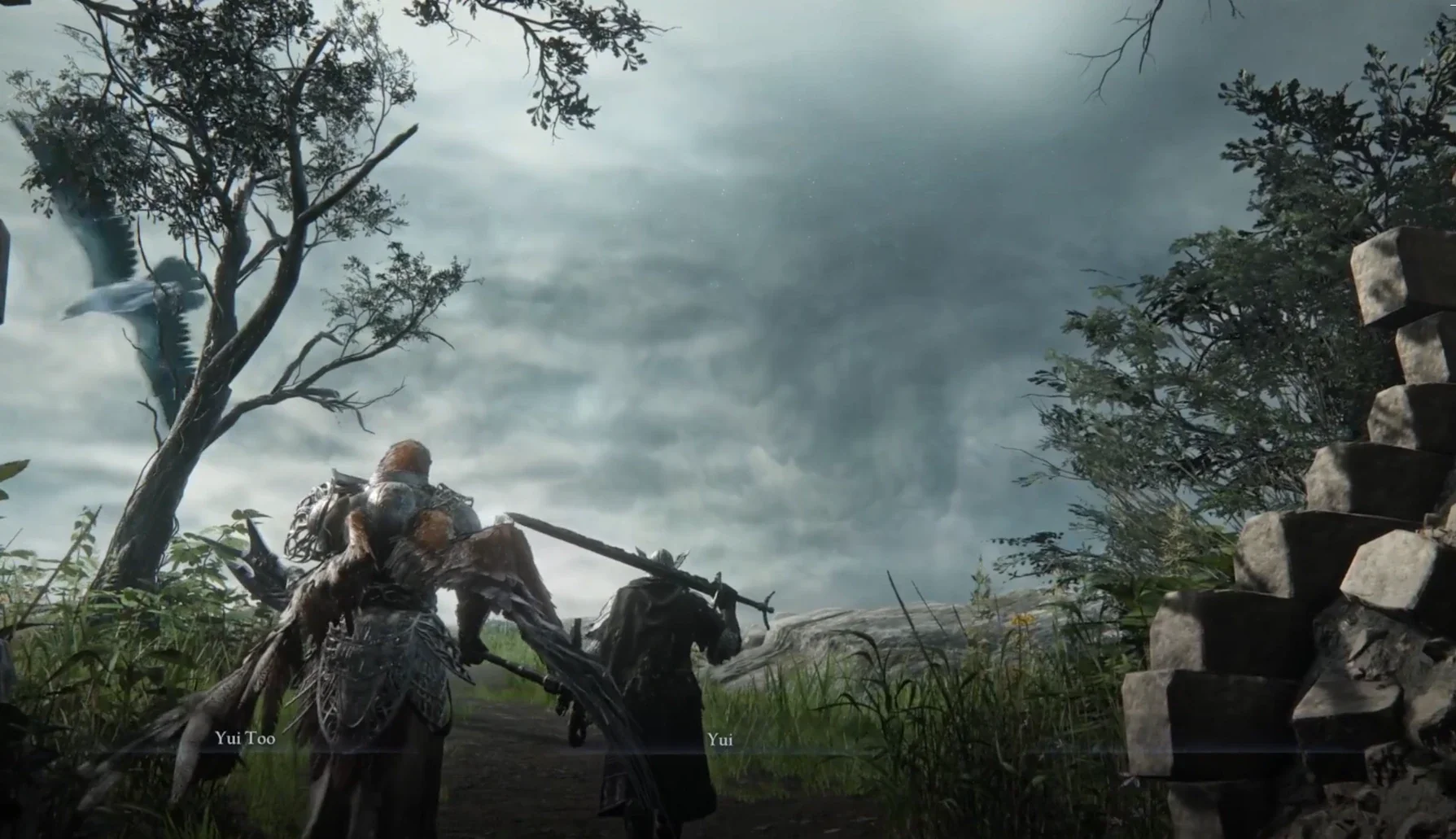 Seamless Co-op (Nightreign) pour eldenringnightreign – Résumé IA & avis ...